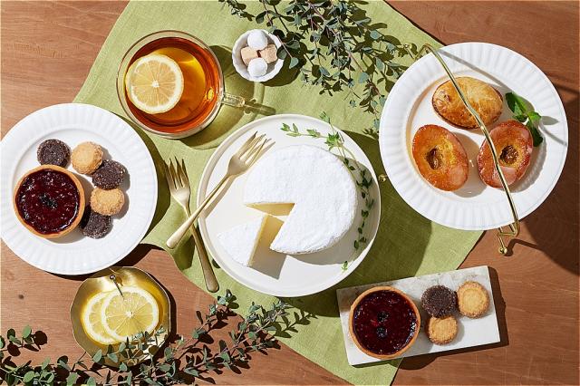 千歳の老舗菓子店が“生まれ変わった”人気は「バターサブレ」買えるのは新千歳空港と狸小路 | SASARU [ささる]